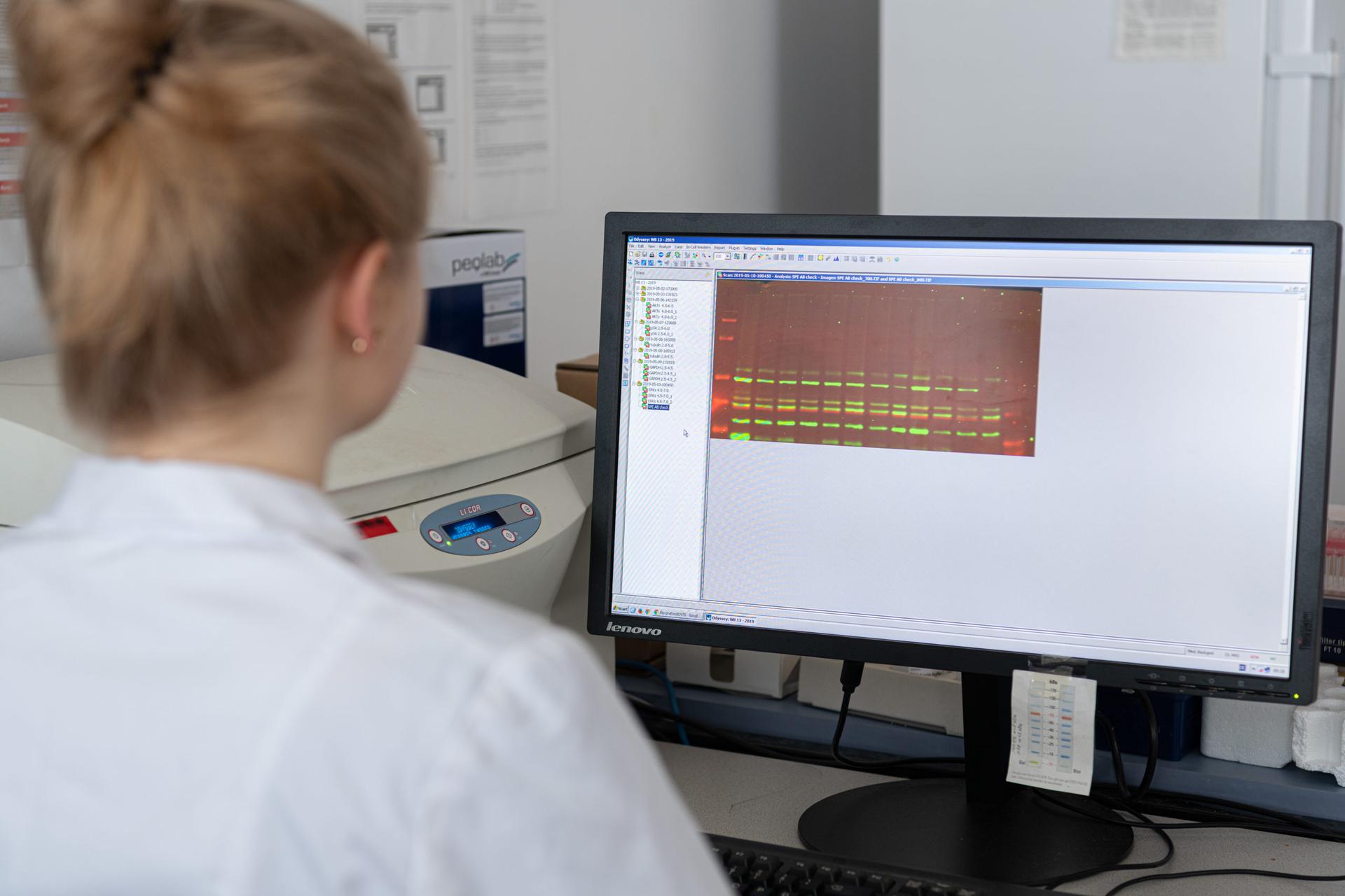 Tissue Engineering & Regenerative Medicine - Master | FHTW