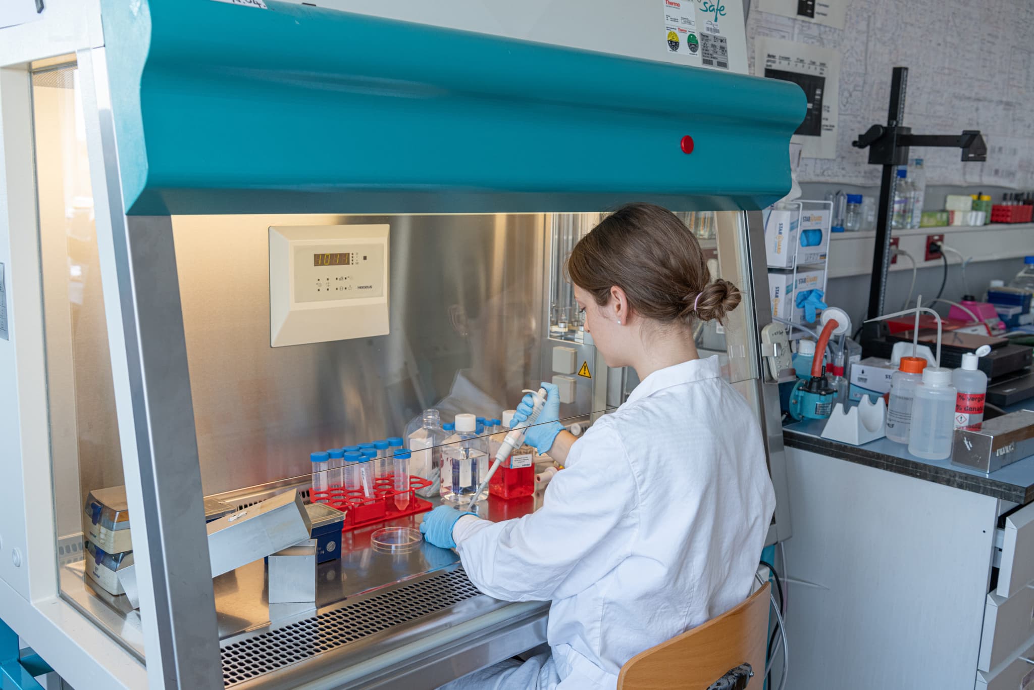 Tissue Engineering & Regenerative Medicine - Master | FHTW