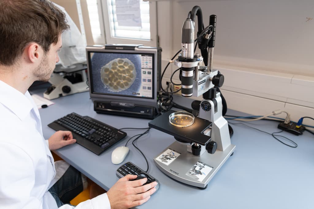 Die Fakultäten der FH Technikum Wien | Technikum Wien