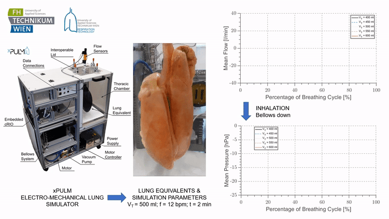 The future of respiratory simulation at UAS Technikum Wien | FH ...